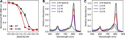 Denaturation Of Fmo Complexes In The Presence Of Sodium Thiocyanate