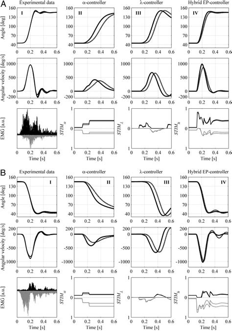 Overview Of Experimental Data And Simulation Results Column I Elbow