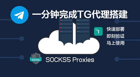 一分钟搭建完成socks5代理 哔哩哔哩