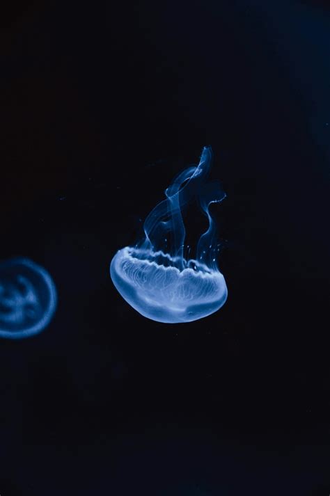 Ai Concepts For Newbies Ai For Newbies