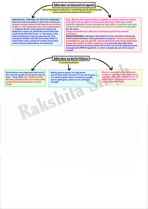 Solution Mind Map For Microbes In Human Welfare Studypool