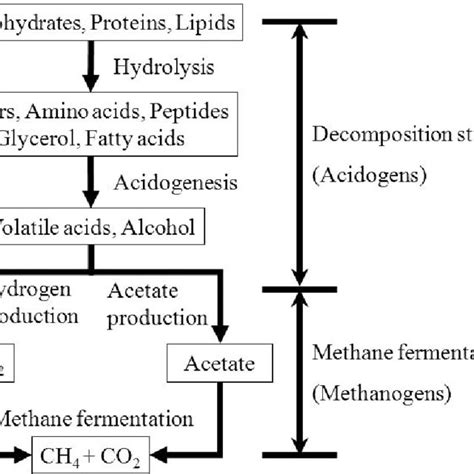 Process Of Methane Fermentation Schematic Download Scientific Diagram