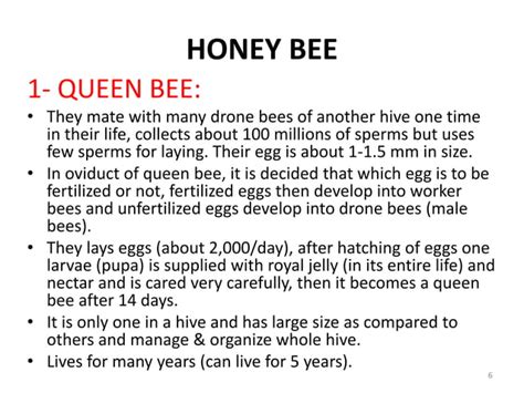 Introduction To Honey Bees And Their Classification Pptx