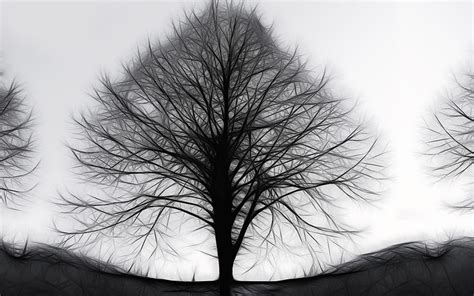 Reductionism Concerns A New Outlook Counseling Services