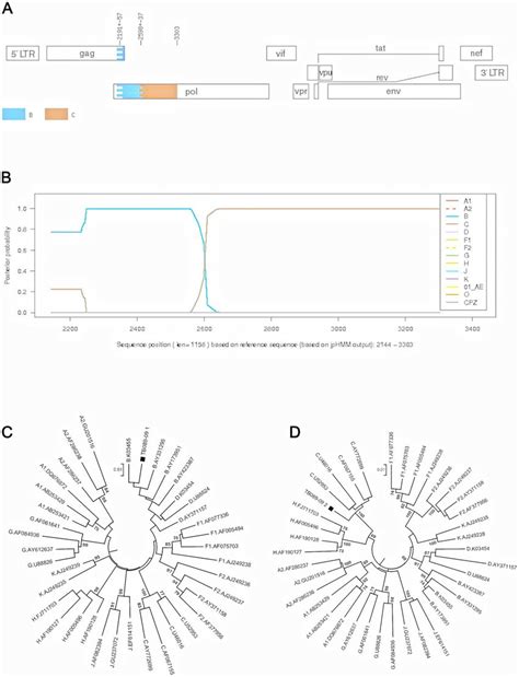 Subtyping Analysis Of Tb089 89 A Bc Recombinant Strain Using Jphmm And