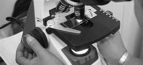 Understanding The Coarse And Fine Adjustment Knobs On A Microscope — Au