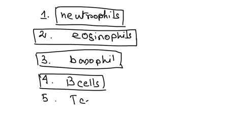 Solved This Task Does Not Contain Any Errors