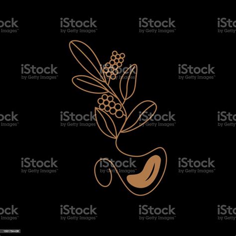 커피 로고 커피 트리 디자인 카페 음료 벡터 아이콘 브랜드 일러스트 레이 션 기호 0명에 대한 스톡 벡터 아트 및 기타 이미지 0명 갈색 광고 Istock