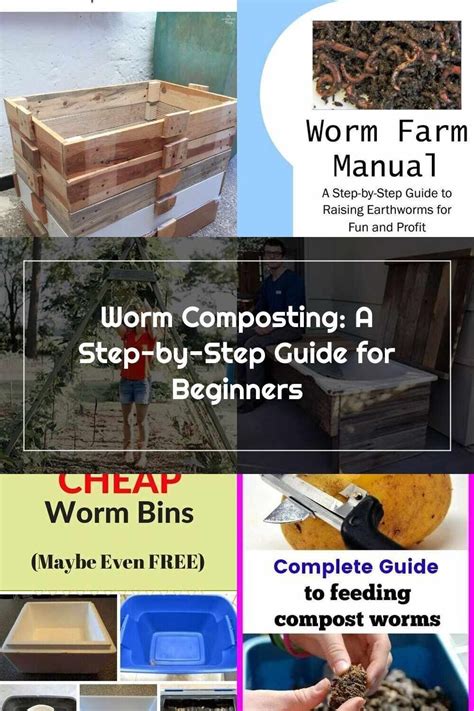 Worm Composting Worm Composting A Step By Step Guide For Beginners Worm Composting Compost