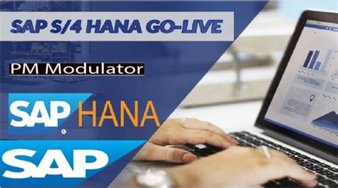 do data entry sap pm excel data extraction typing copy paste by