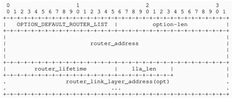 6 Dhcpv6 Default Router List Option Fields This Option Is Used By The