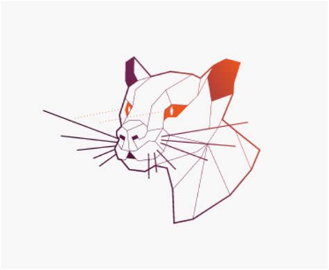 Ubuntu LTS Focal Fossa Is Here NotebookCheck Net News