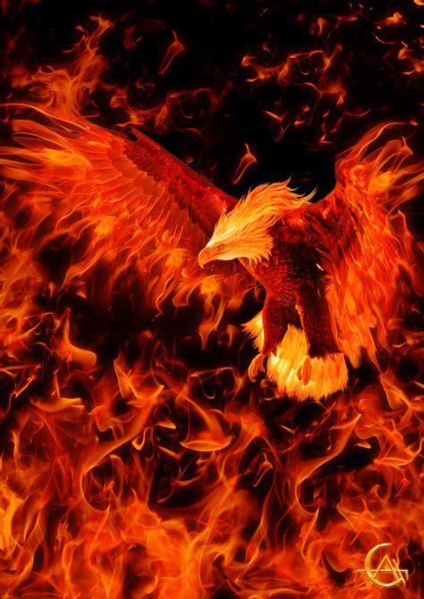 72 Phoenix Rising Ideas Phoenix Rising Phoenix Phoenix Bird