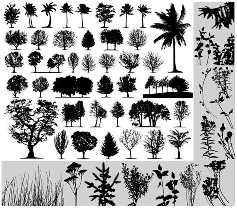 Trees Grass Plant Vector Stock Vector Illustration Of Isolation