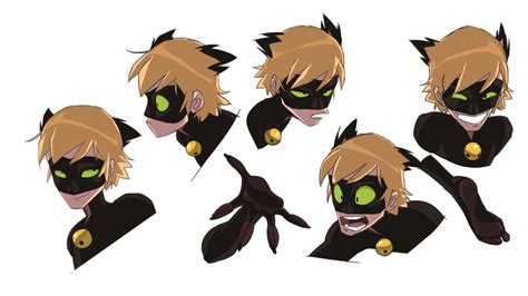 Miraculous Tales Of Ladybug And Cat Noir — Todays Transformation