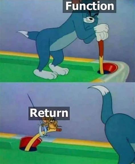 Function Call Rprogrammerhumor