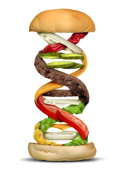 Dietary Assessment Stock Illustrations 28 Dietary Assessment Stock