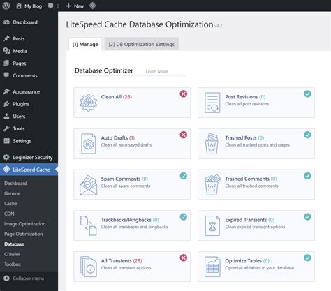 How To Configure The Litespeed Cache Database Optimization Settings In Wordpress