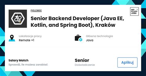 Praca Senior Backend Developer Java Ee Kotlin And Spring Boot Kraków Backend Fieldbee