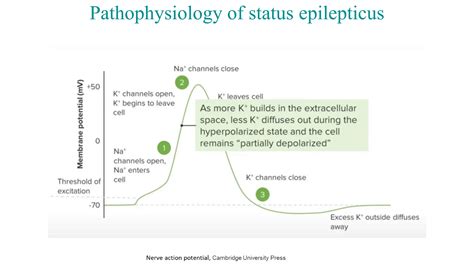 Status Epilepticus Definition And Pathophysiology Pptx