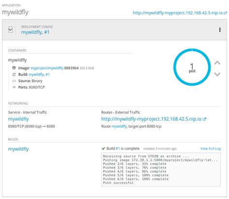 Running Any Docker Image On Openshift Mastertheboss
