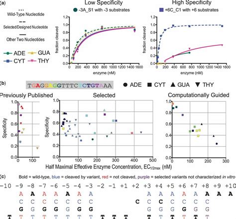 Combining Directed Evolution With Computational Design To Successfully Download Scientific