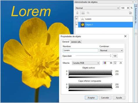 Coreldraw Graphics Suite Tutoriales