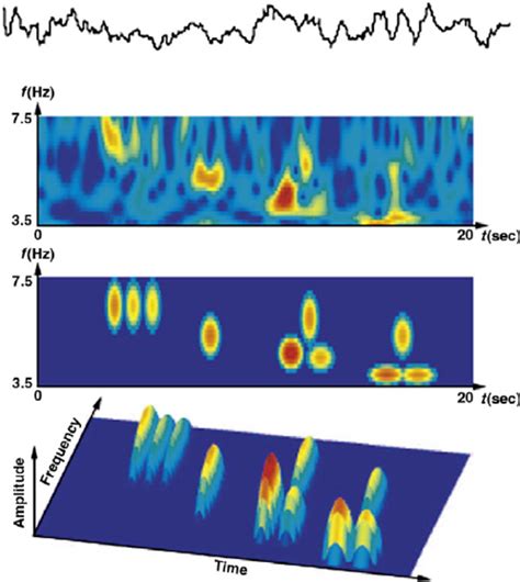 two dimensional stochastic event synchrony top two given eeg signals download scientific