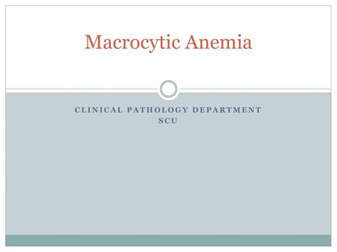 PPT Macrocytic Anemia PowerPoint Presentation Free Download ID 3011826