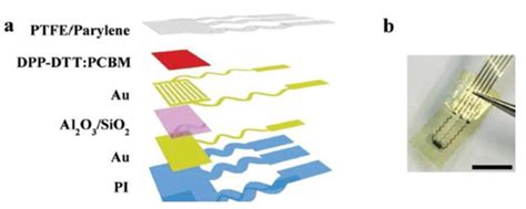 A Schematic Of The Device Structure Of The Flexible OPT B Figure Download Scientific