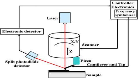Schematic Diagram Of Major Components Of An Afm Download Scientific Diagram