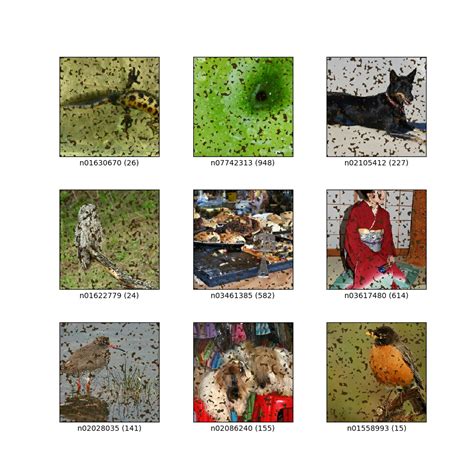 Imagenet2012 Corrupted TensorFlow Datasets