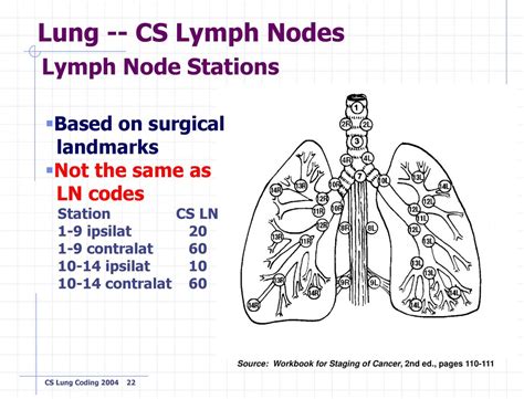 The Anatomy Of Collaborative Staging Lung Ppt Download