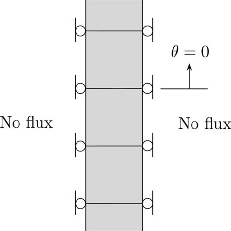 Layout Of The Configuration For The Terzaghi Problem Download Scientific Diagram