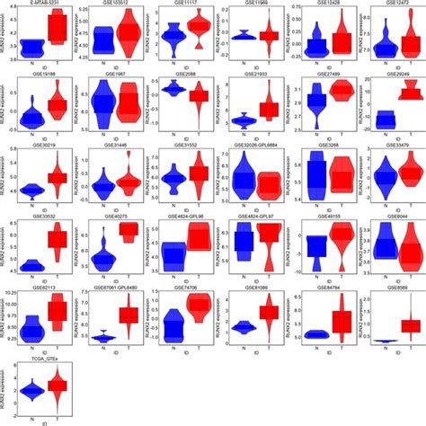 ihc staining of runx2 in lusc and non‐cancer lung tissues a ihc download scientific diagram
