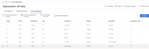Error Analysis The Dashboard Crashes When Selecting One Row To Inspect From The Raw Data Table