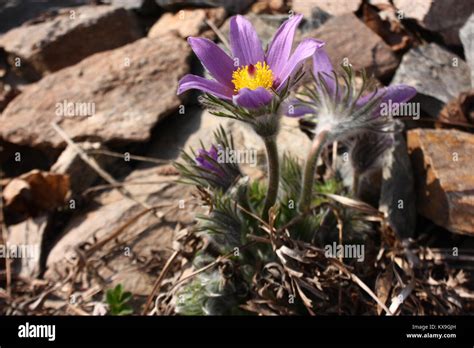 This Seems To Reference An Html Document Or File Identified By The Code 5dl Html M2fdb7aab