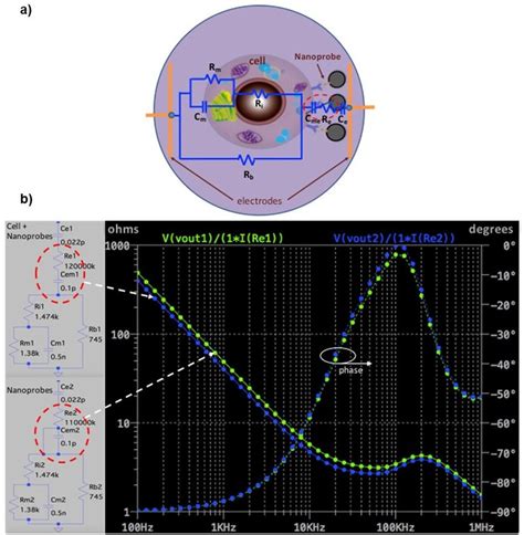 Numerical Modelling A A Simple Typical RC Equivalent Circuit Download Scientific Diagram