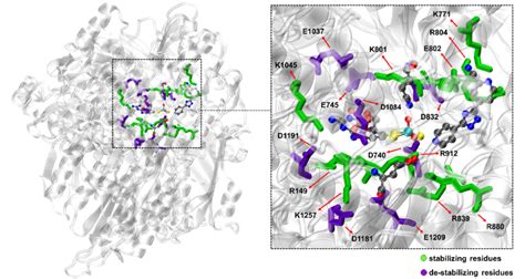 Three Dimensional Representation Of The Residues With Considerable
