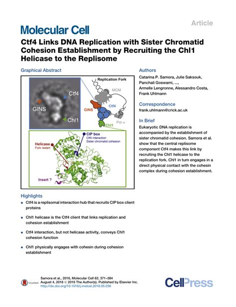 pdf ctf4 links dna replication with sister chromatid cohesion