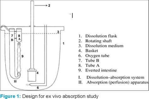 Figure 1 From Formulation And Evaluation Of Acyclovir Nanosuspension For Enhancement Of Oral