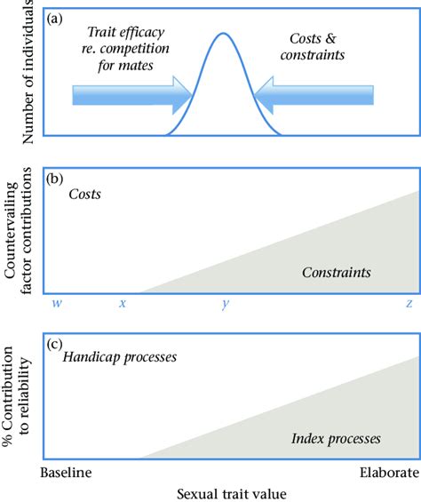 A Forces Shaping The Evolution Of Elaborate Sexual Signals The Curve Download Scientific