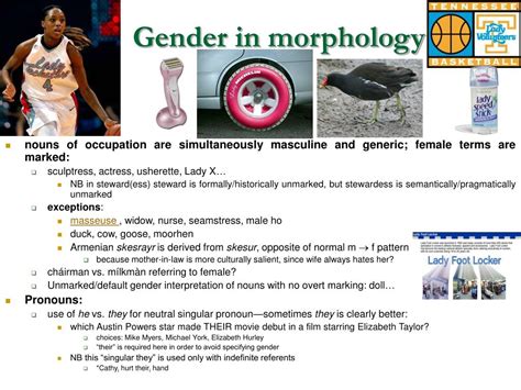 PPT Li2 Language Variation PowerPoint Presentation Free Download ID 237922