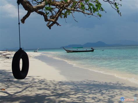 แหล่งดำน้ำดูปะการัง