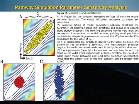 Lecture 6 Determination Of Pathway Parameters Y Z Ppt Download