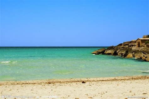 Sap Mm零基础学习 第八篇 货源决定 清单 知乎