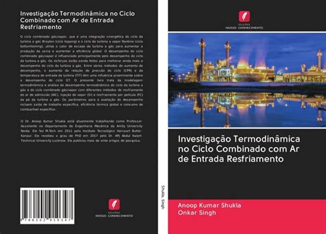 InvestigaÇÃo TermodinÂmica No Ciclo Combinado Com Ar De Entrada Resfriamento Eur 44 90 Picclick De