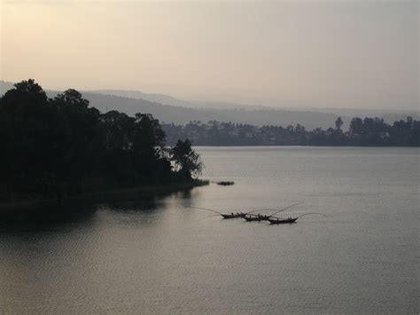 The Policy Practice Linkedin