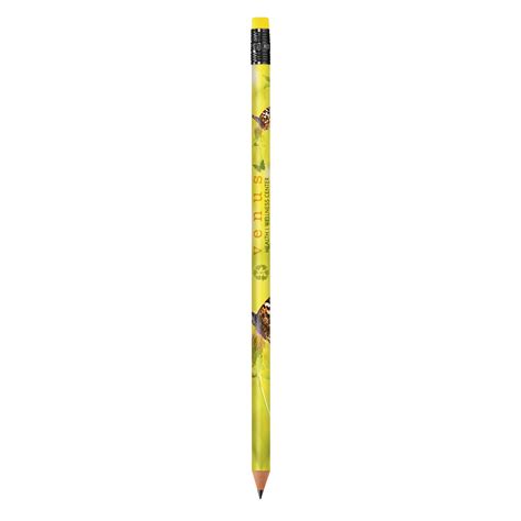 Bic® Evolution® Ecolutions® Eraser Pencil Lyreco