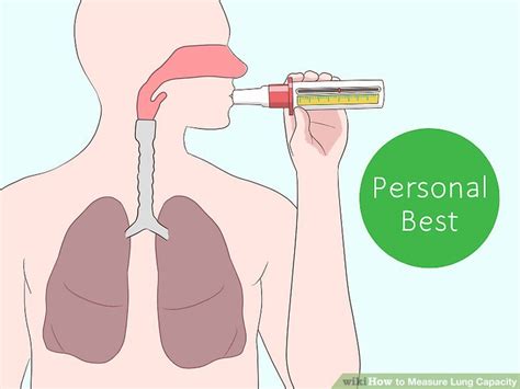 How To Measure Lung Capacity 9 Steps With Pictures WikiHow Health